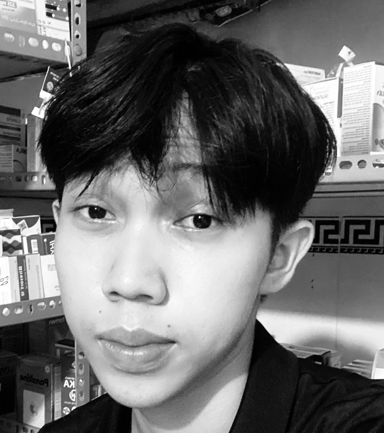 Nguyen Le Minh | AI & Automotive Engineer